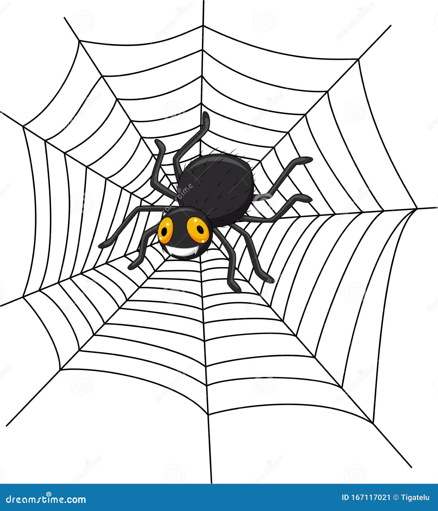 Spider Web - Cobweb Vector On White Background - Illustration ...