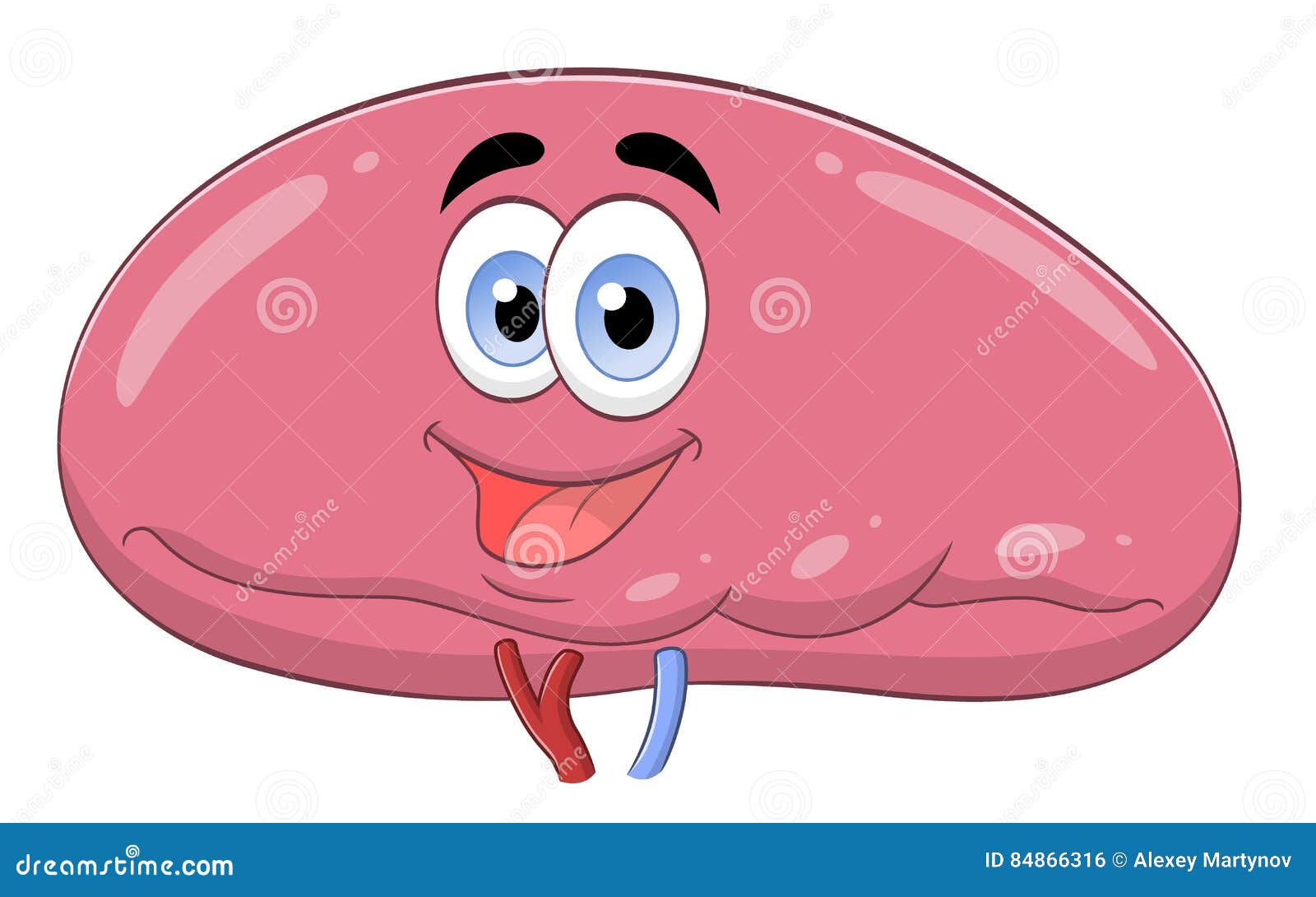 Cartoon spleen stock vector. Illustration of beautiful - 84866316