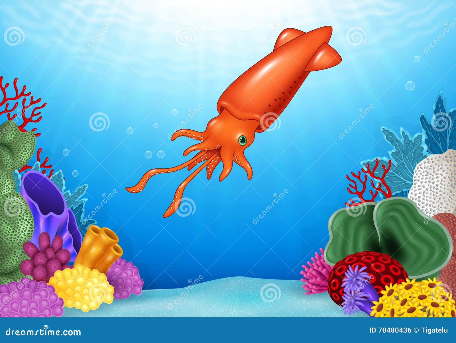 Cartoon Squid | CartoonDealer.com #29888541