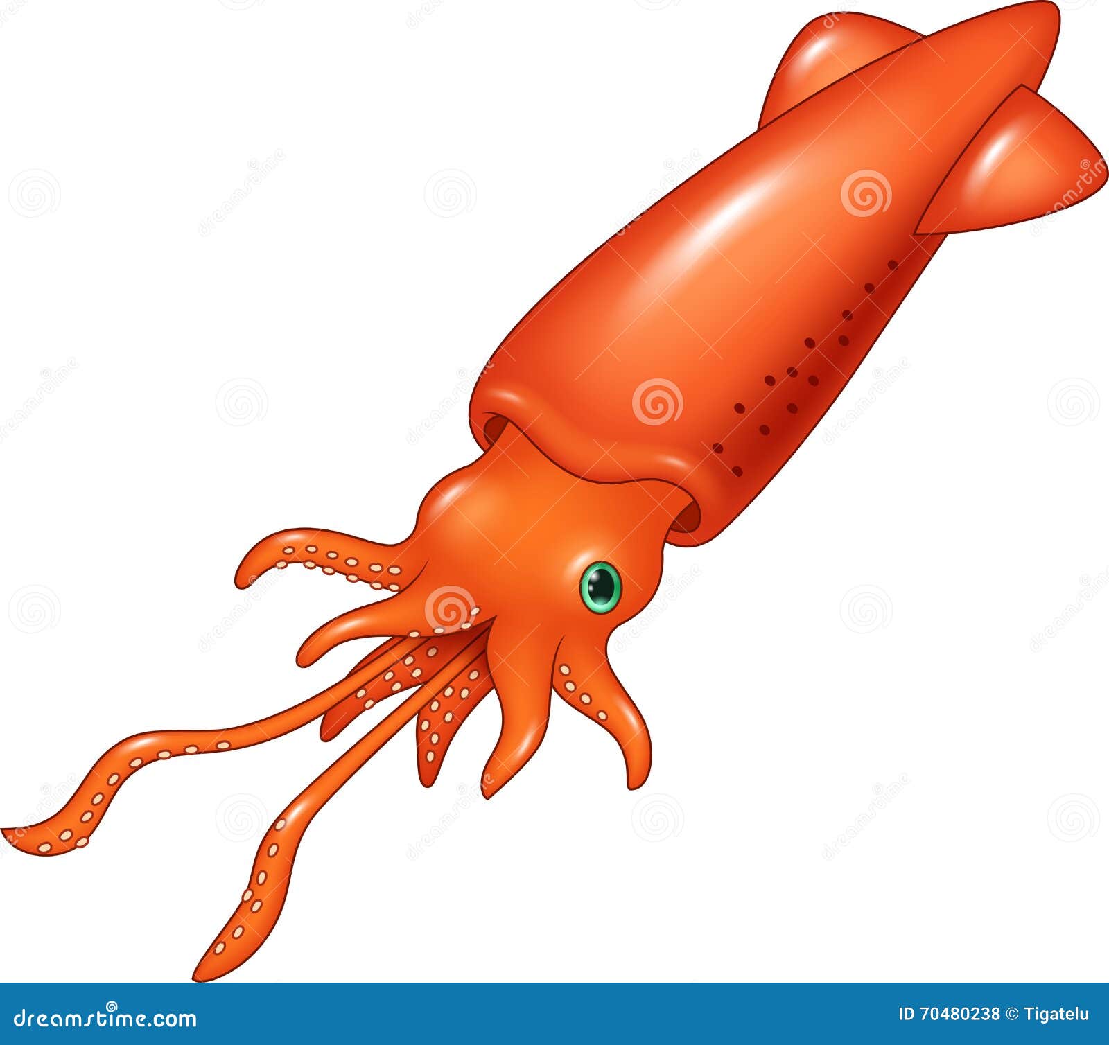 Cartoon Squid Isolated on White Background Stock Vector - Illustration ...
