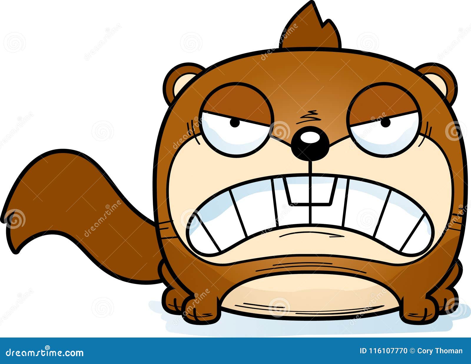 Cartoon Squirrel Angry stock vector. Illustration of angry - 116107770