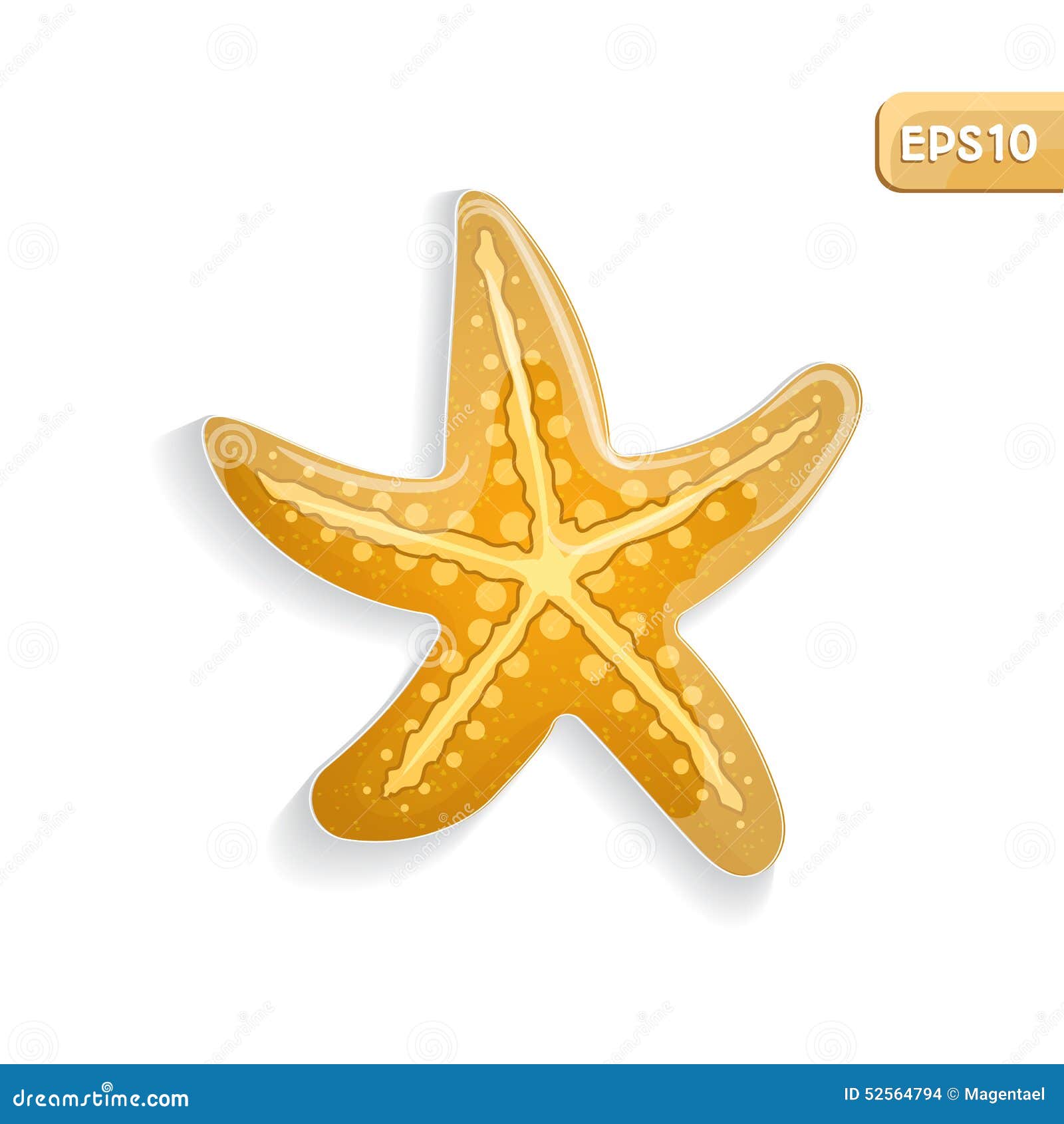 Cartoon starfish stock vector. Illustration of natural - 52564794