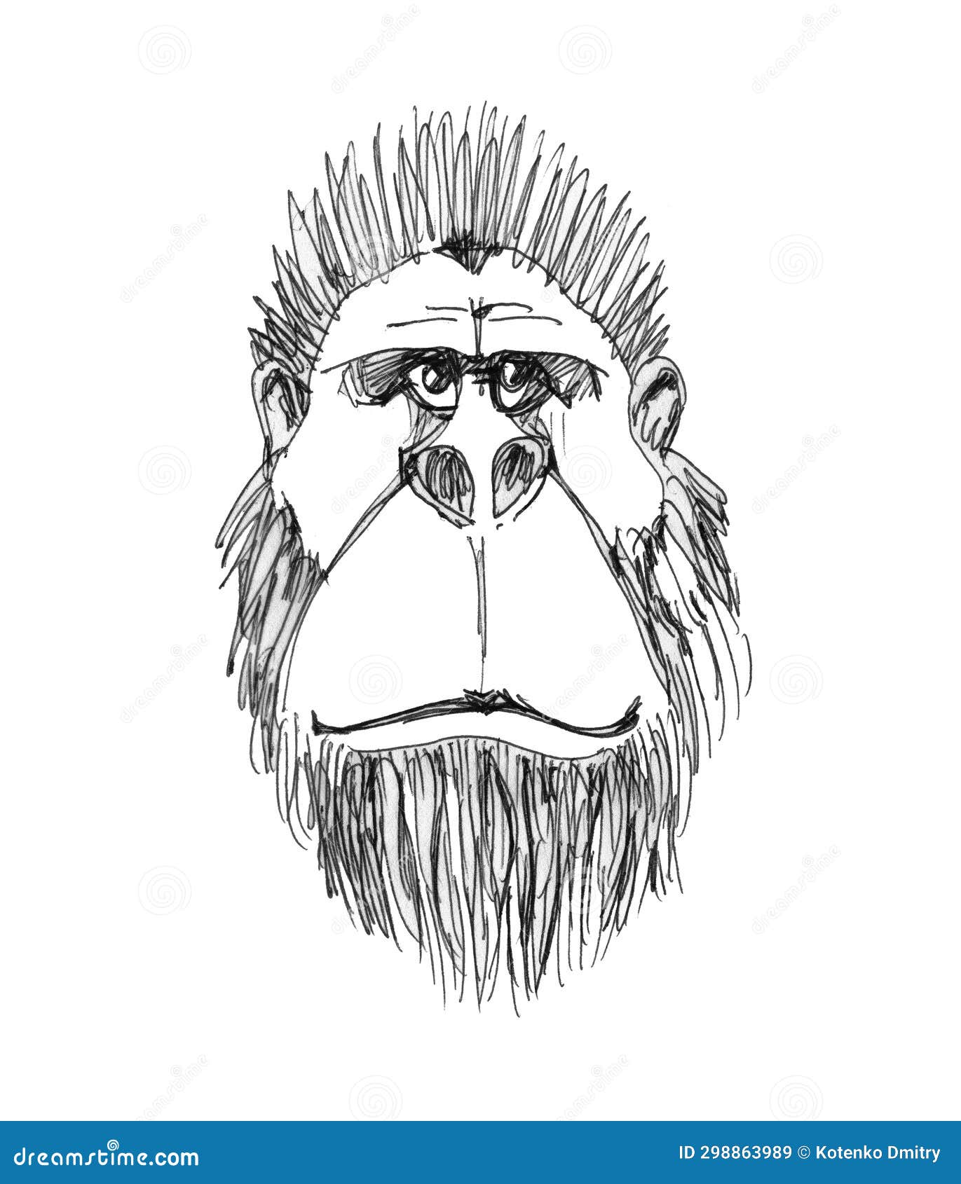 Cartoon Style Drawing of a Monkey. Funny Character. Stock Illustration ...