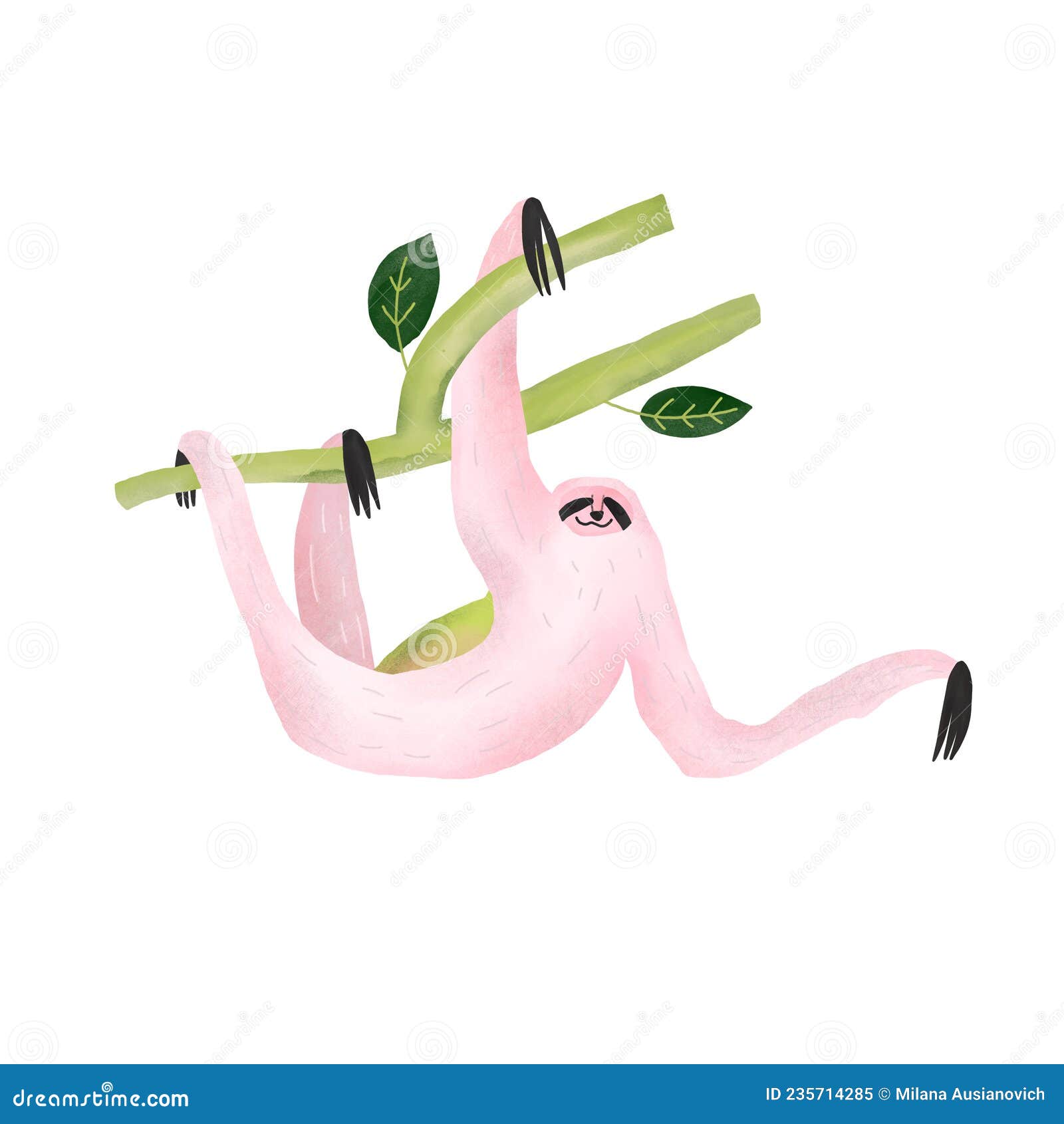 Cartoon Style Drawing of Sloth Hanging on Branch Stock Illustration ...