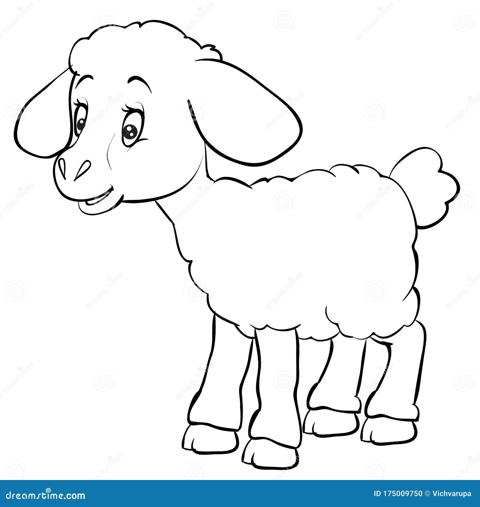 Market Lamb Outline