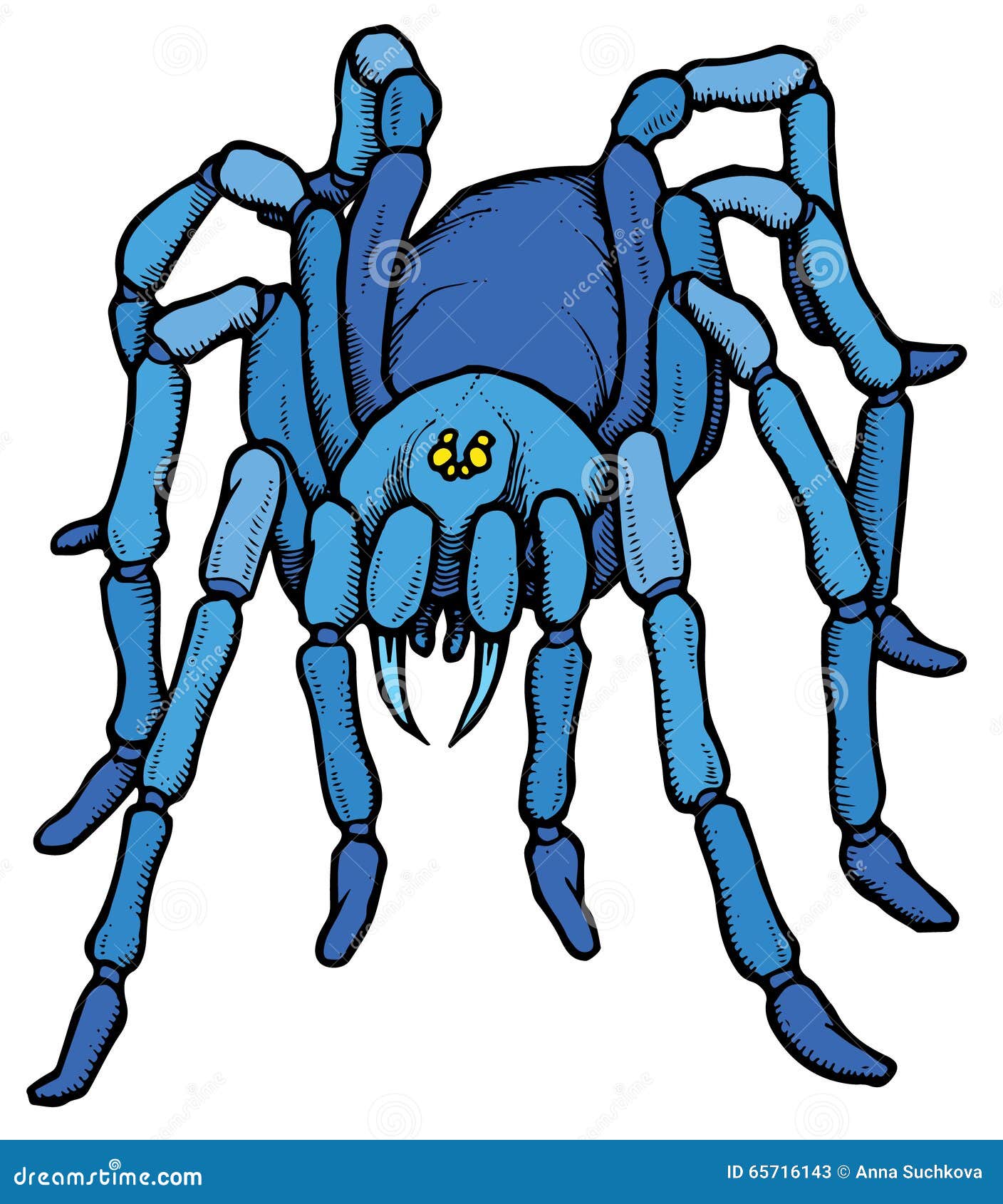 Cartoon Stylized Blue Tarantula Spider Stock Vector - Illustration of ...