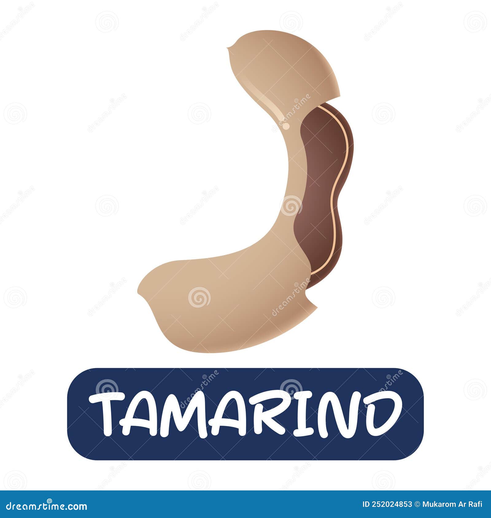 Cartoon Tamarind Or Tintiri Fruit Vector Illustration, Indian Date ...