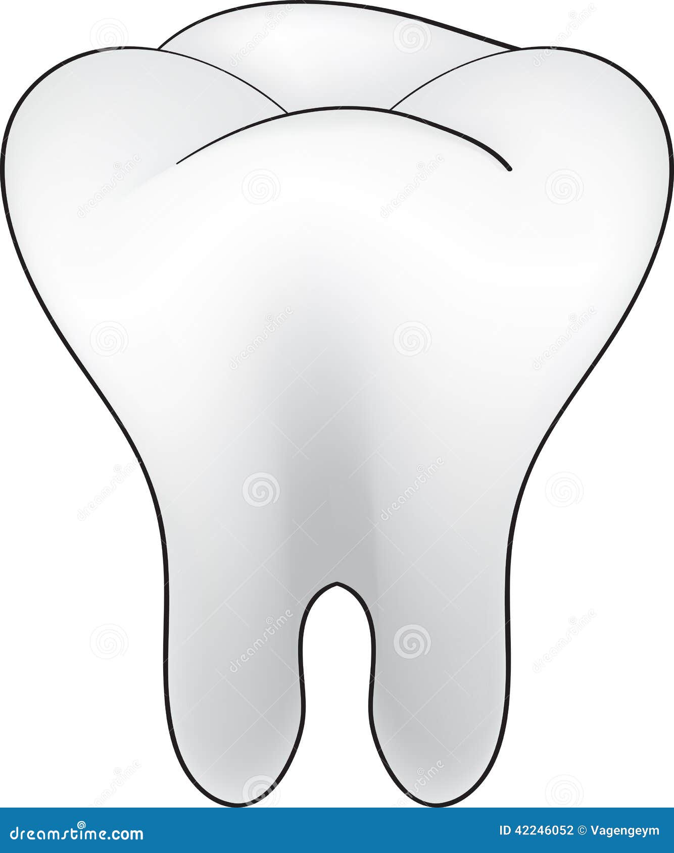 Cartoon tooth stock vector. Illustration of bright, isolated - 42246052