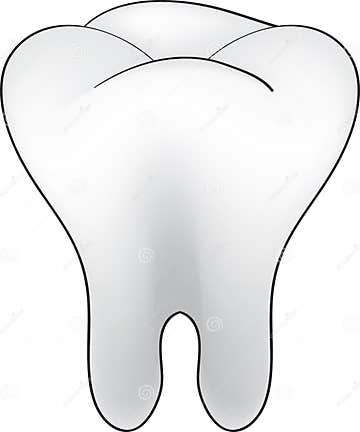 Cartoon tooth stock vector. Illustration of bright, isolated - 42246052