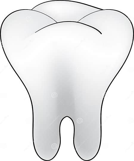 Cartoon tooth stock vector. Illustration of bright, isolated - 42246052