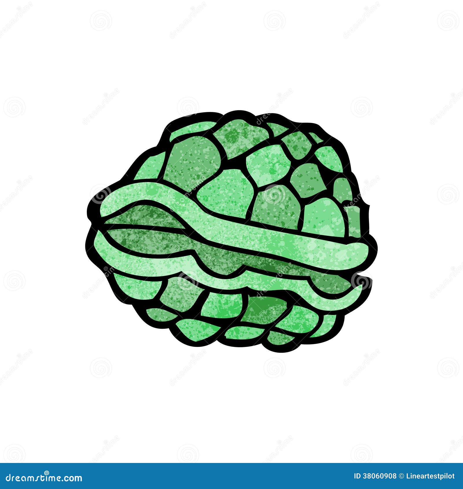 Cartoon tortoise shell stock vector. Illustration of doodle - 38060908