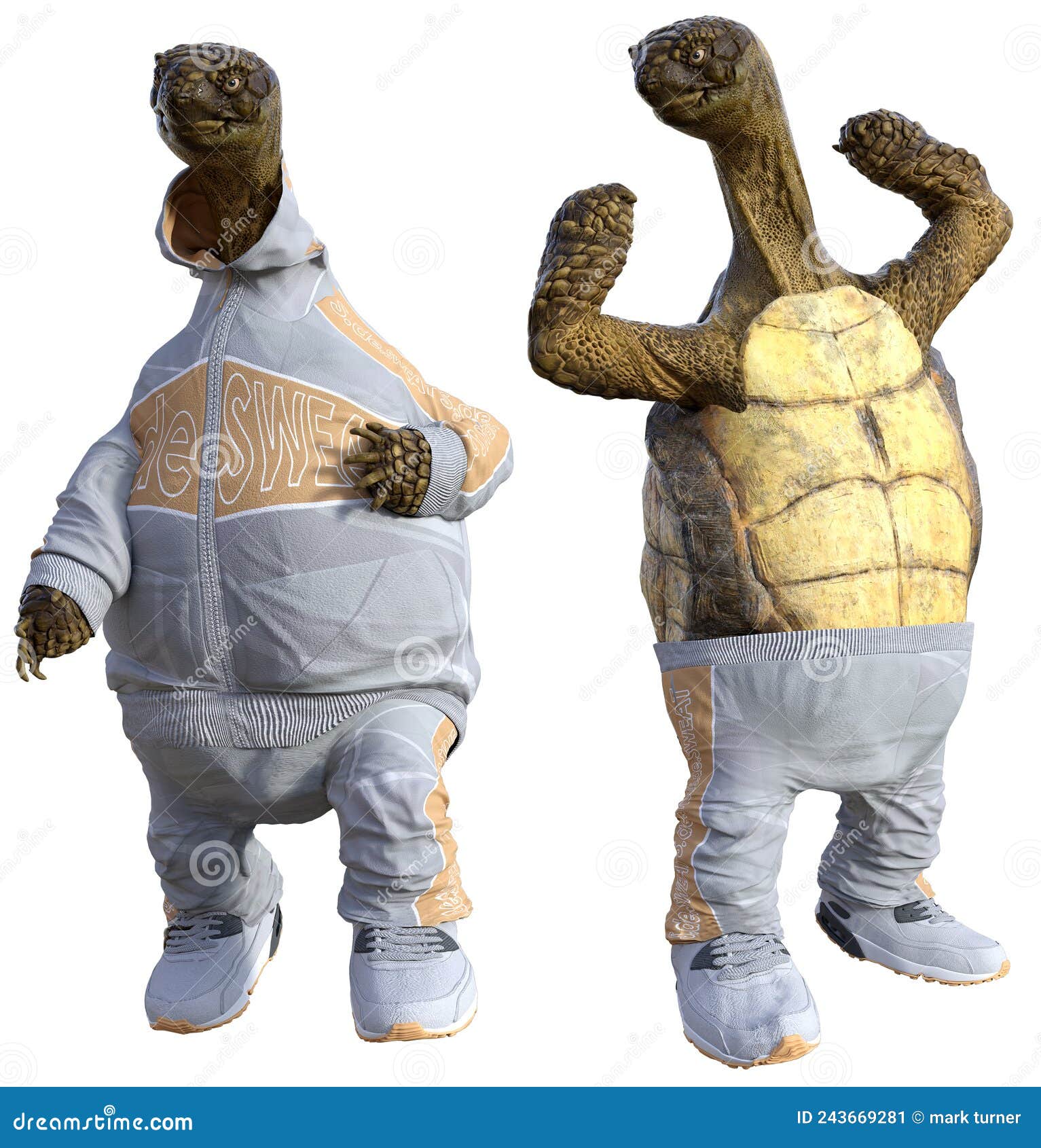 Cartoon Tortoises Working Out 3D Illustrations Stock Illustration ...