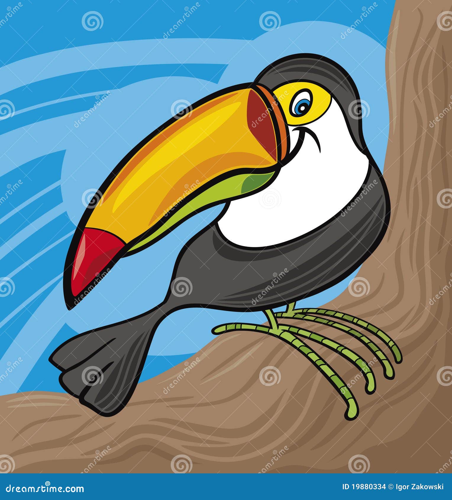 Cartoon toucan stock vector. Illustration of zoology - 19880334