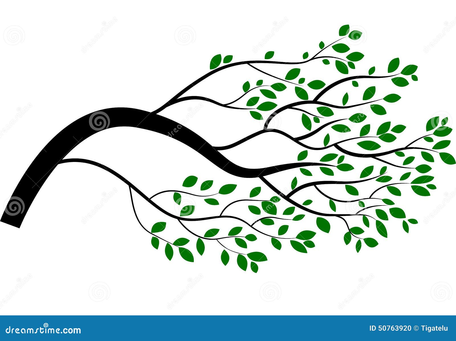 Cartoon tree branch stock vector. Illustration of pattern - 50763920