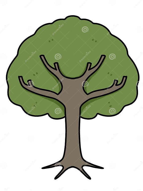 Cartoon Tree with Leaves on White Background Stock Illustration ...
