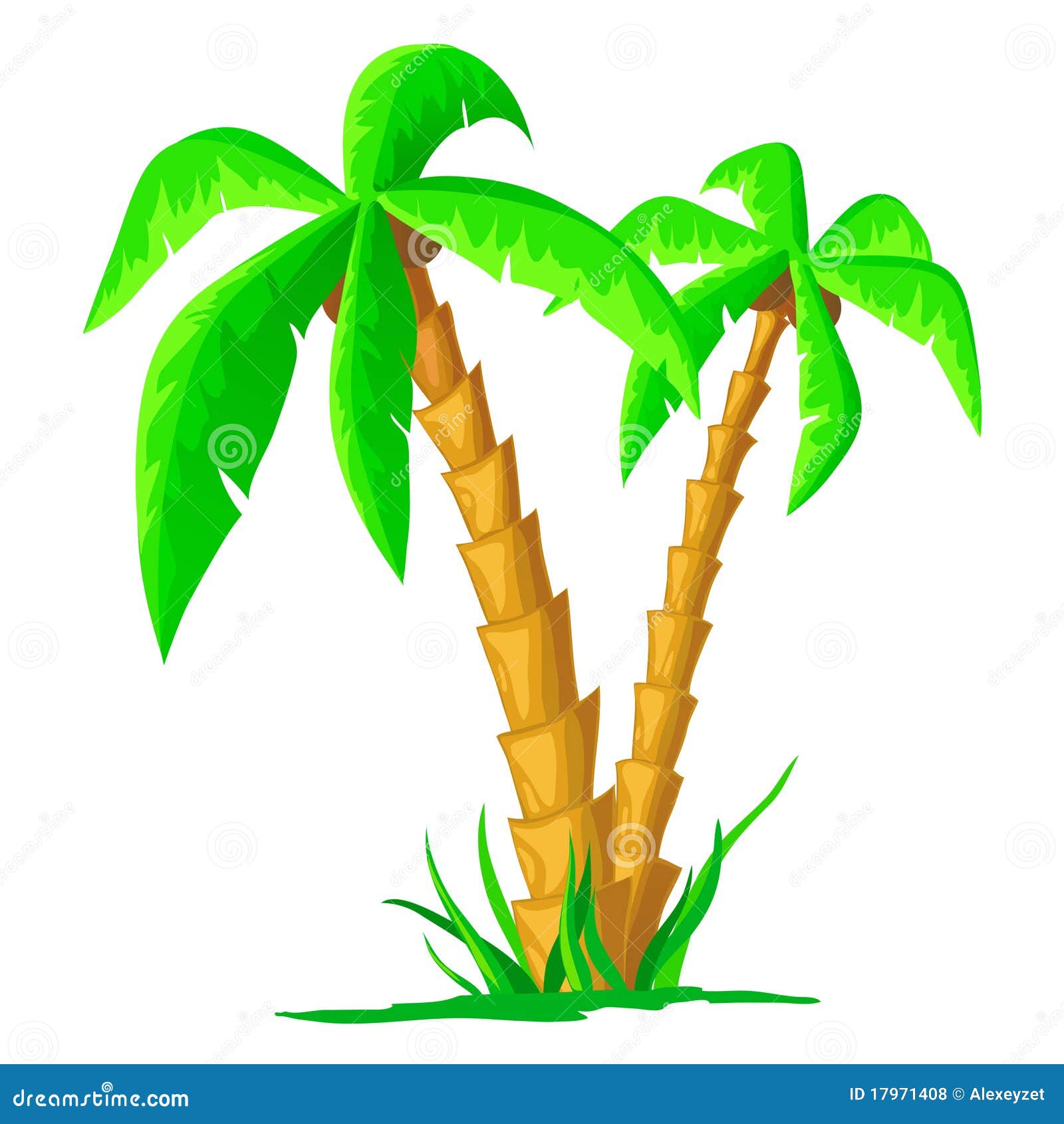 Cartoon Tropical Palm Isolated on White Background Stock Vector ...