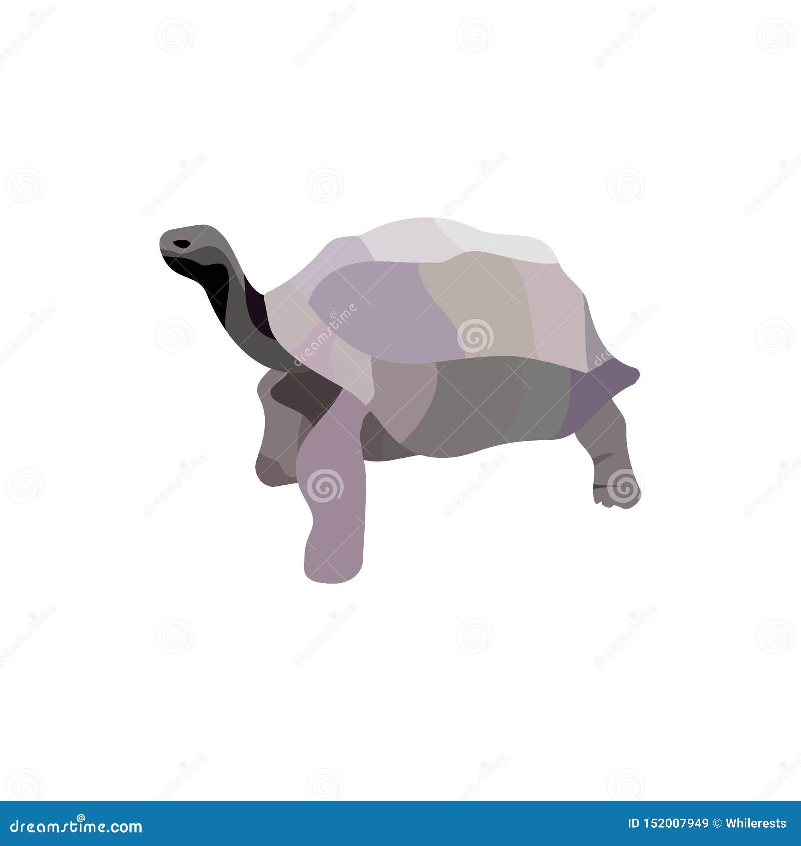 Cartoon Turtle Isolated on White Background. Vector Stock Vector ...