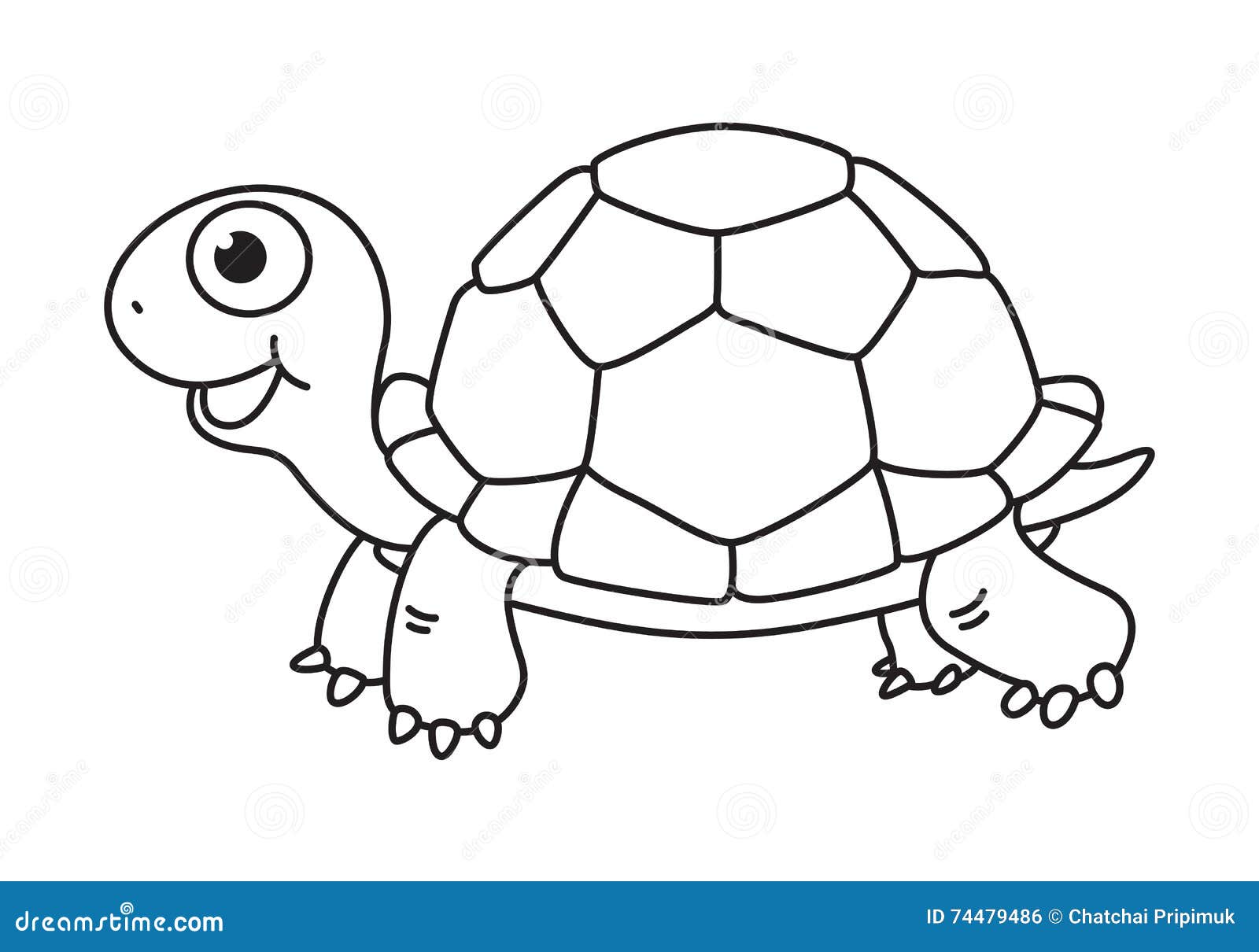 Cartoon Turtle Black And White