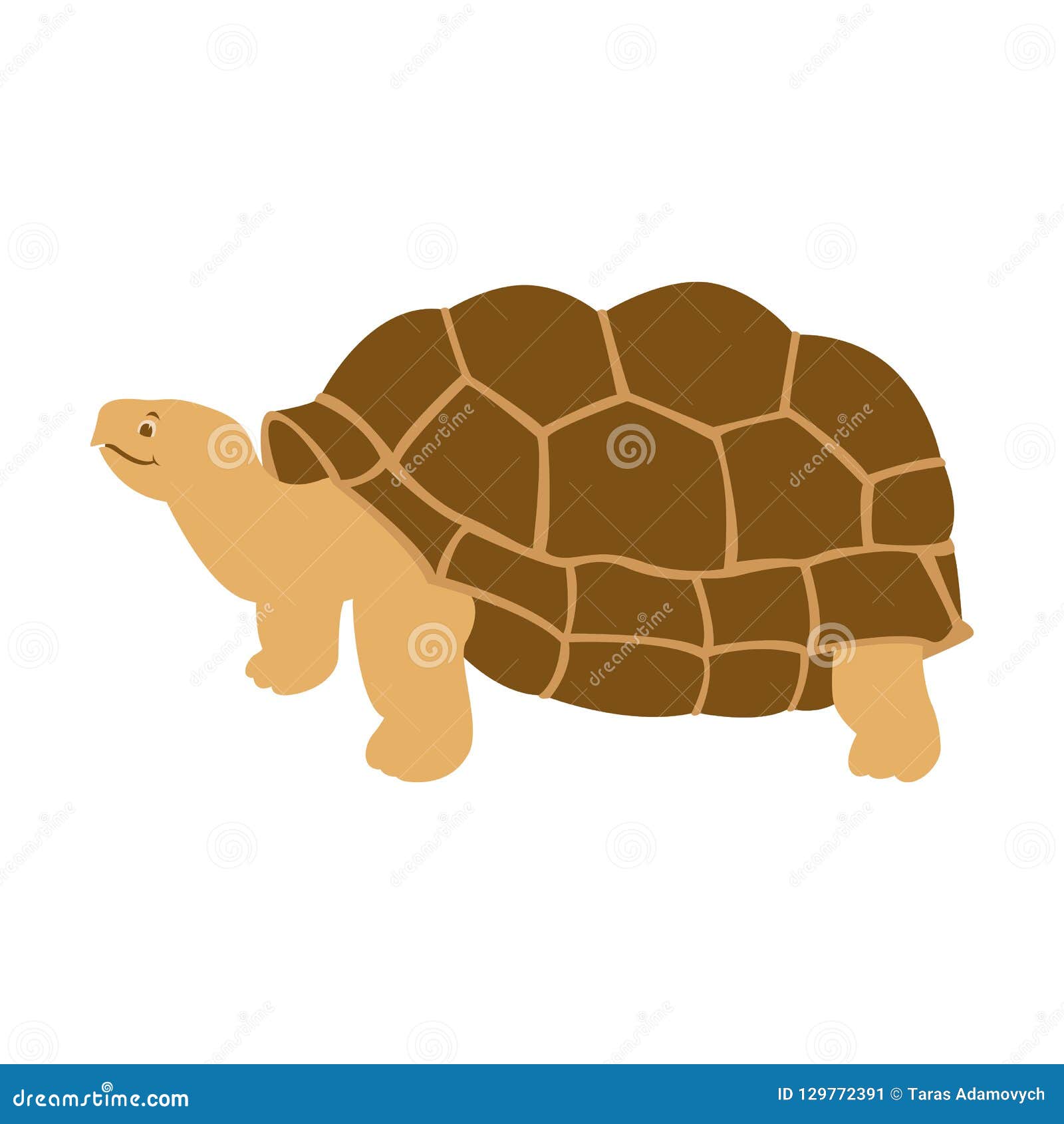 Cartoon Turtle Vector Illustration Flat Style Front Stock Vector ...