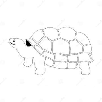 Cartoon Turtle Vector Illustration Lining Draw Front Stock Vector ...
