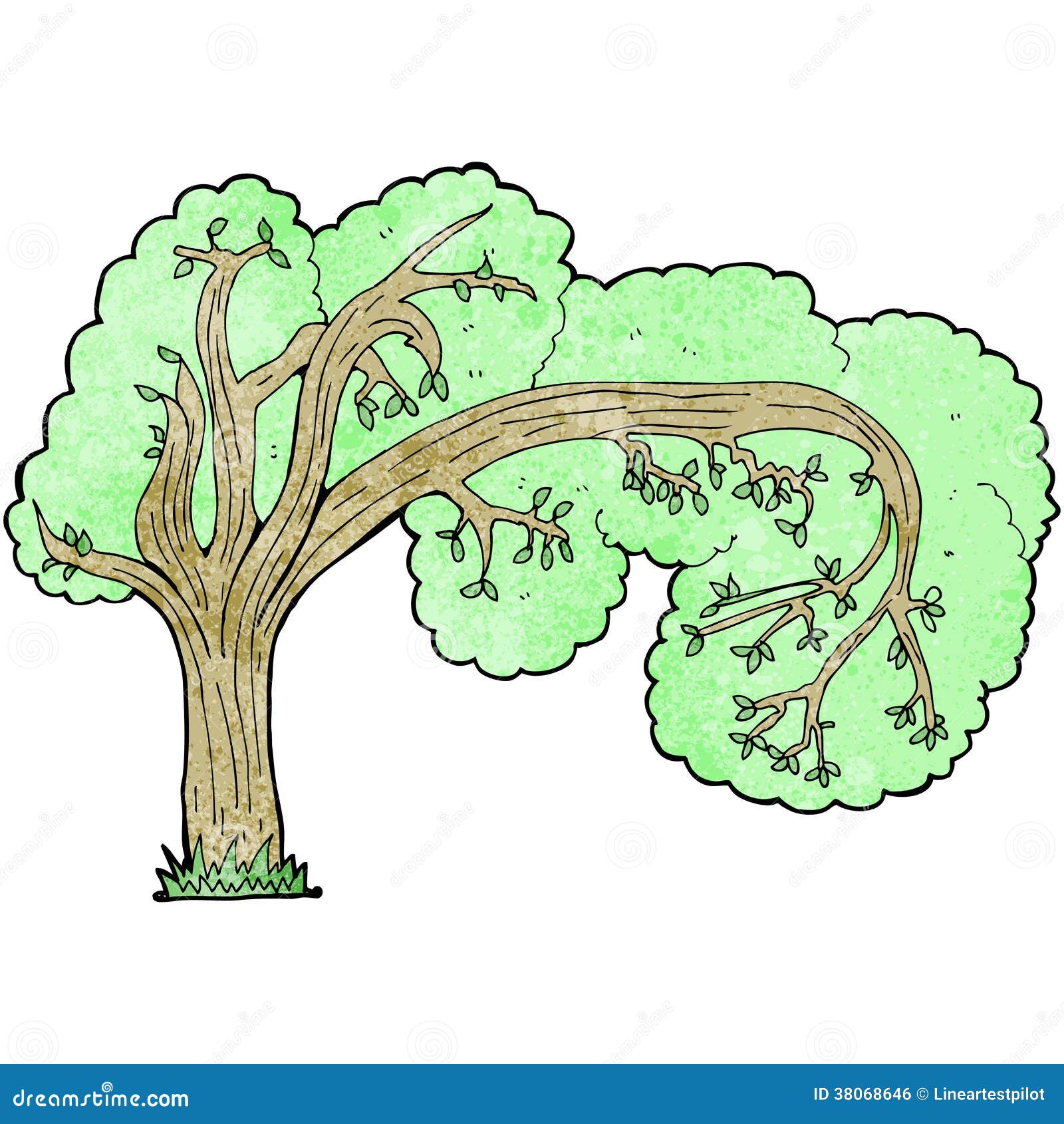 Cartoon twisty tree stock illustration. Illustration of silly - 38068646