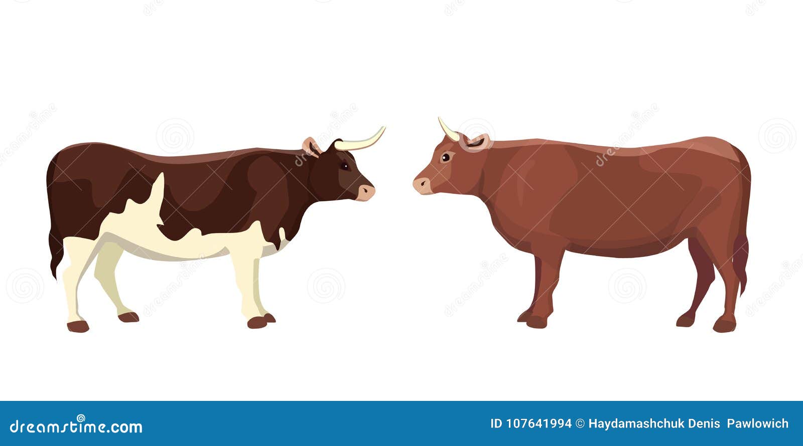 Cartoon Vector Bull Mammal Animal Isolated Stock Vector - Illustration ...