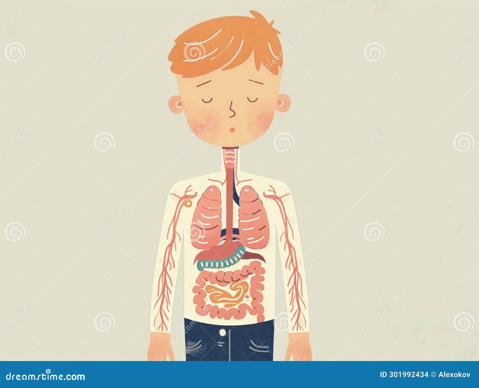Cartoon Vector Illustration of a Boy with Digestive System. Human ...