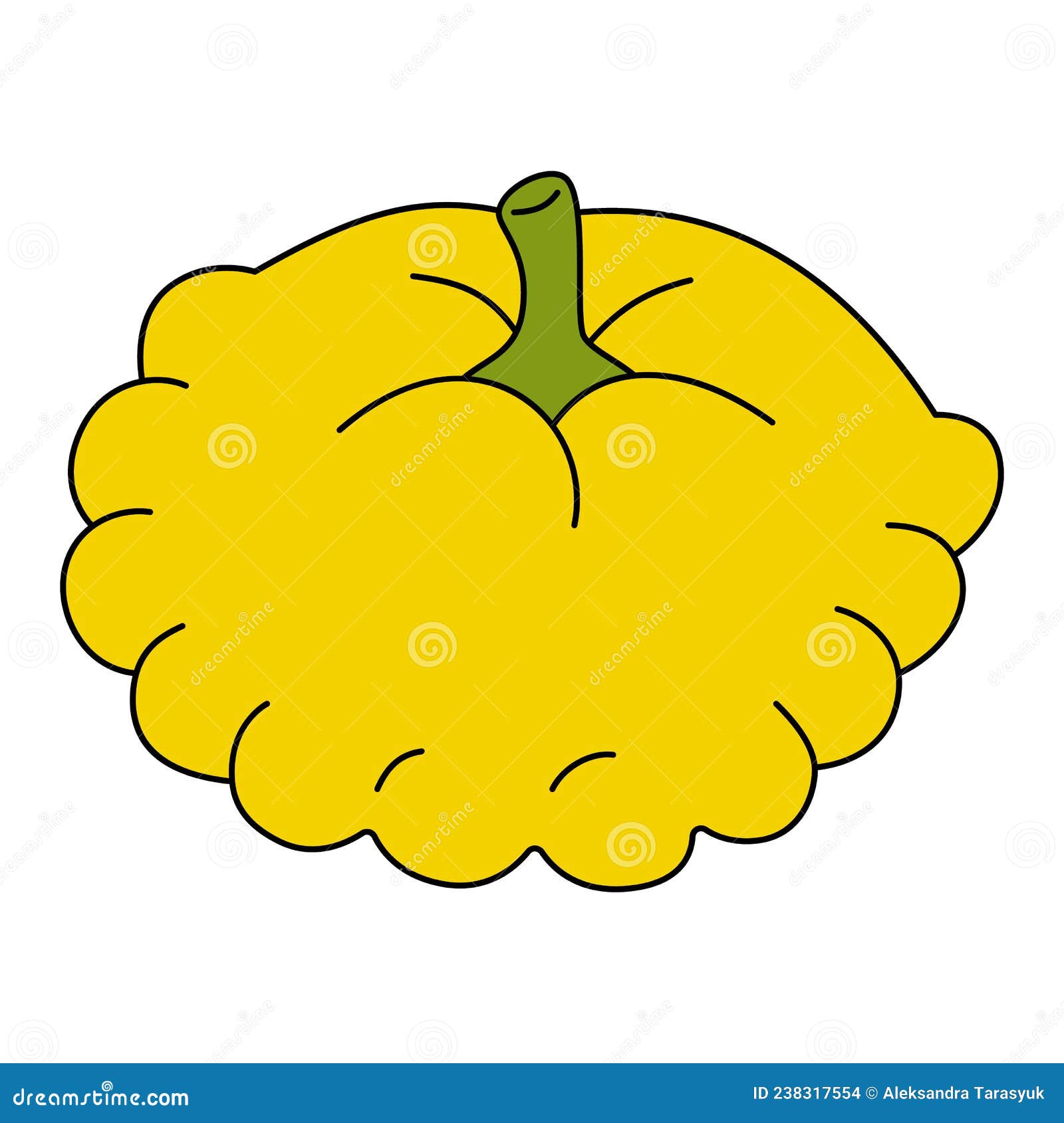 Patisson Vegetable Sketch. Vector Pattypan Image. | CartoonDealer.com ...