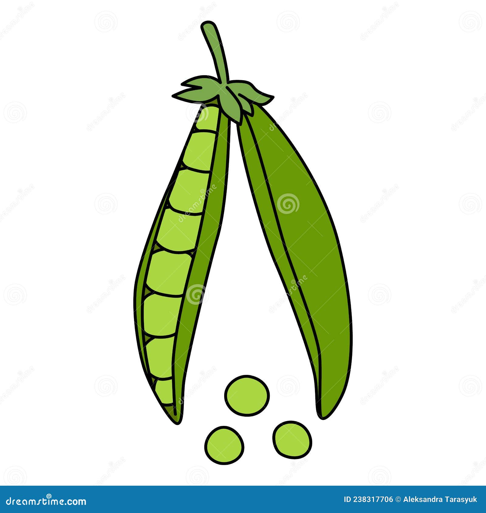 Cartoon Vector Illustration Of Pod Peas Isolated On White. Ripe ...