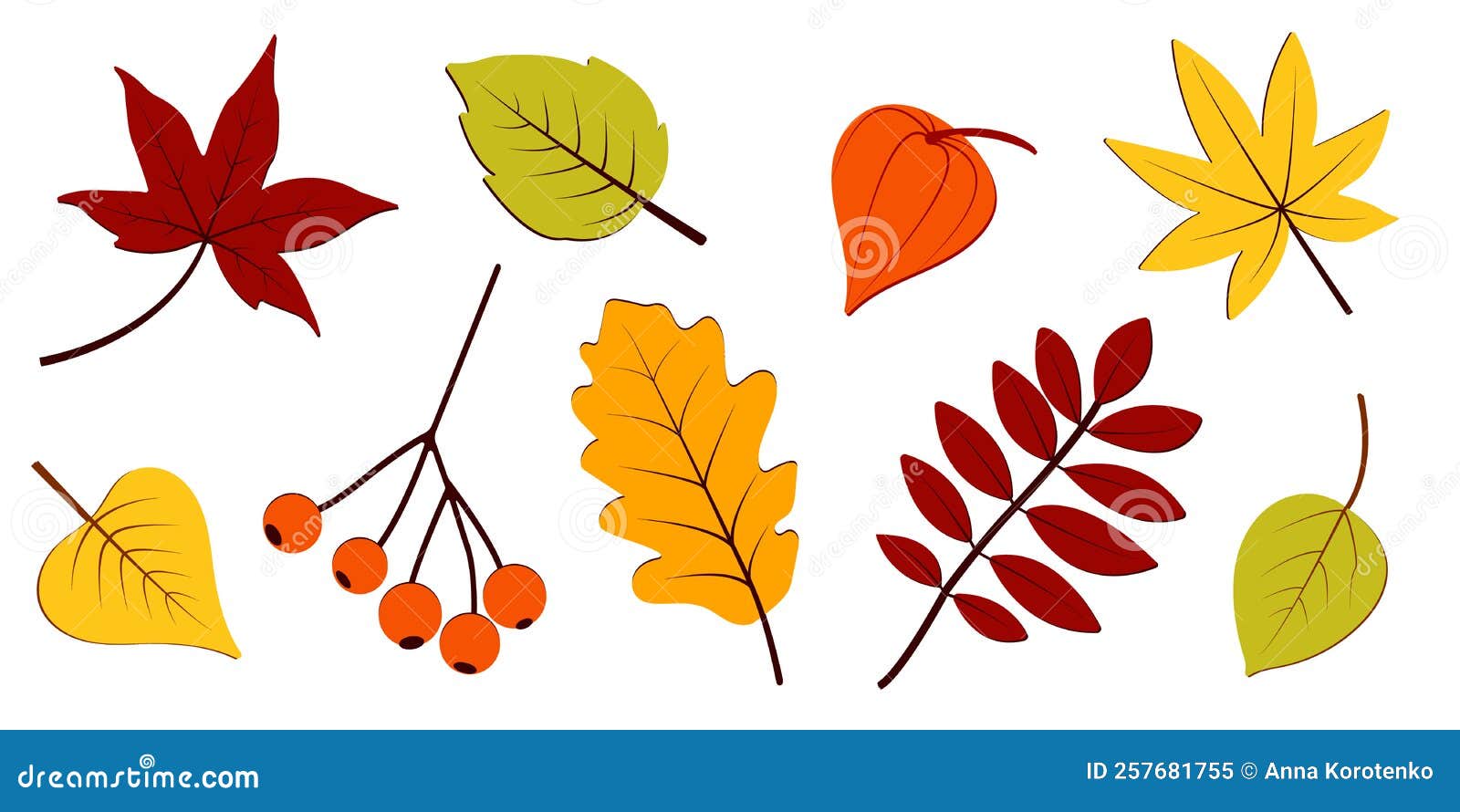 Cartoon Vector Set of Autumn Leaves and Berries Stock Vector ...