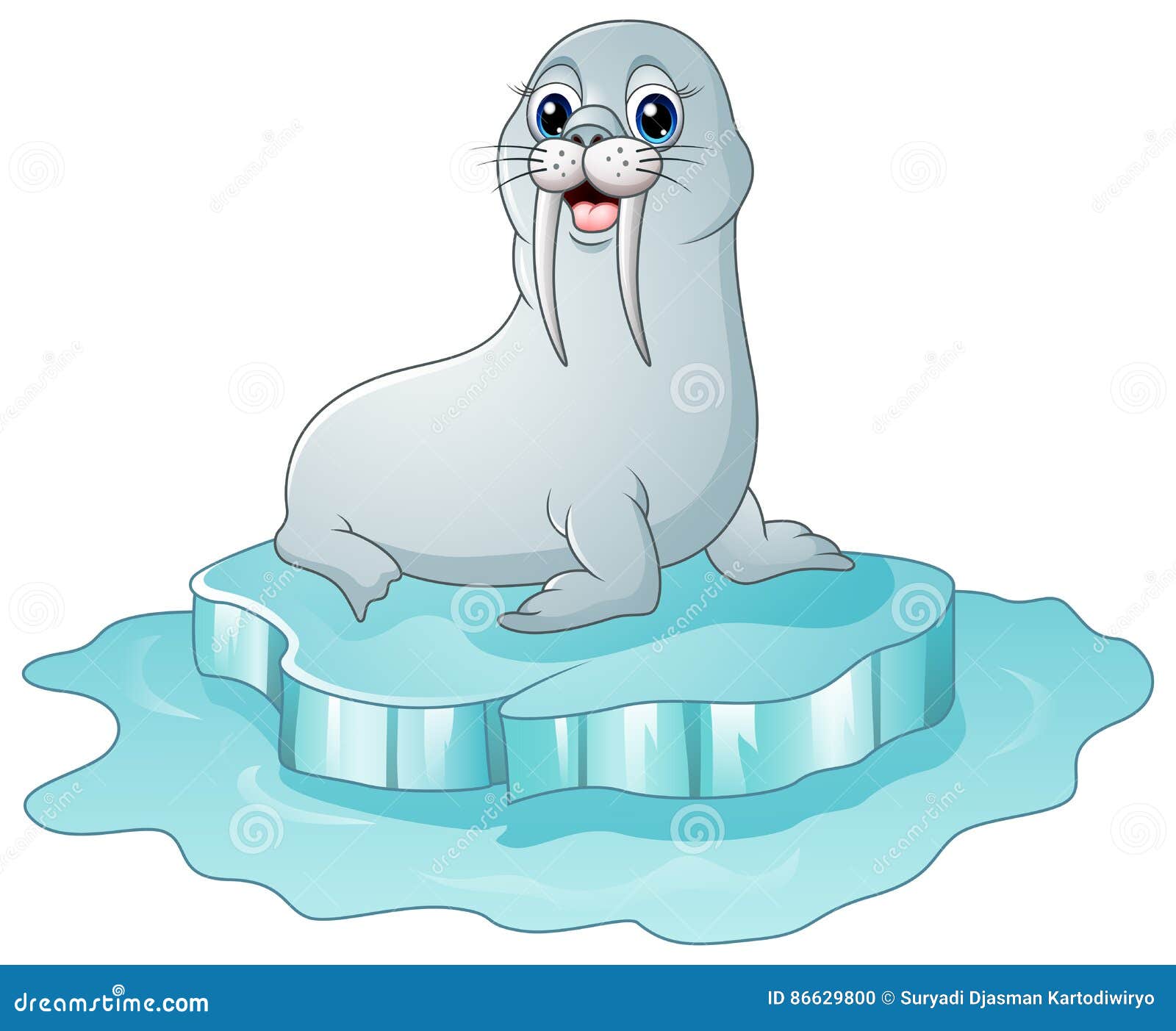 Cartoon Walrus on the on Ice Floe Stock Vector - Illustration of sign ...