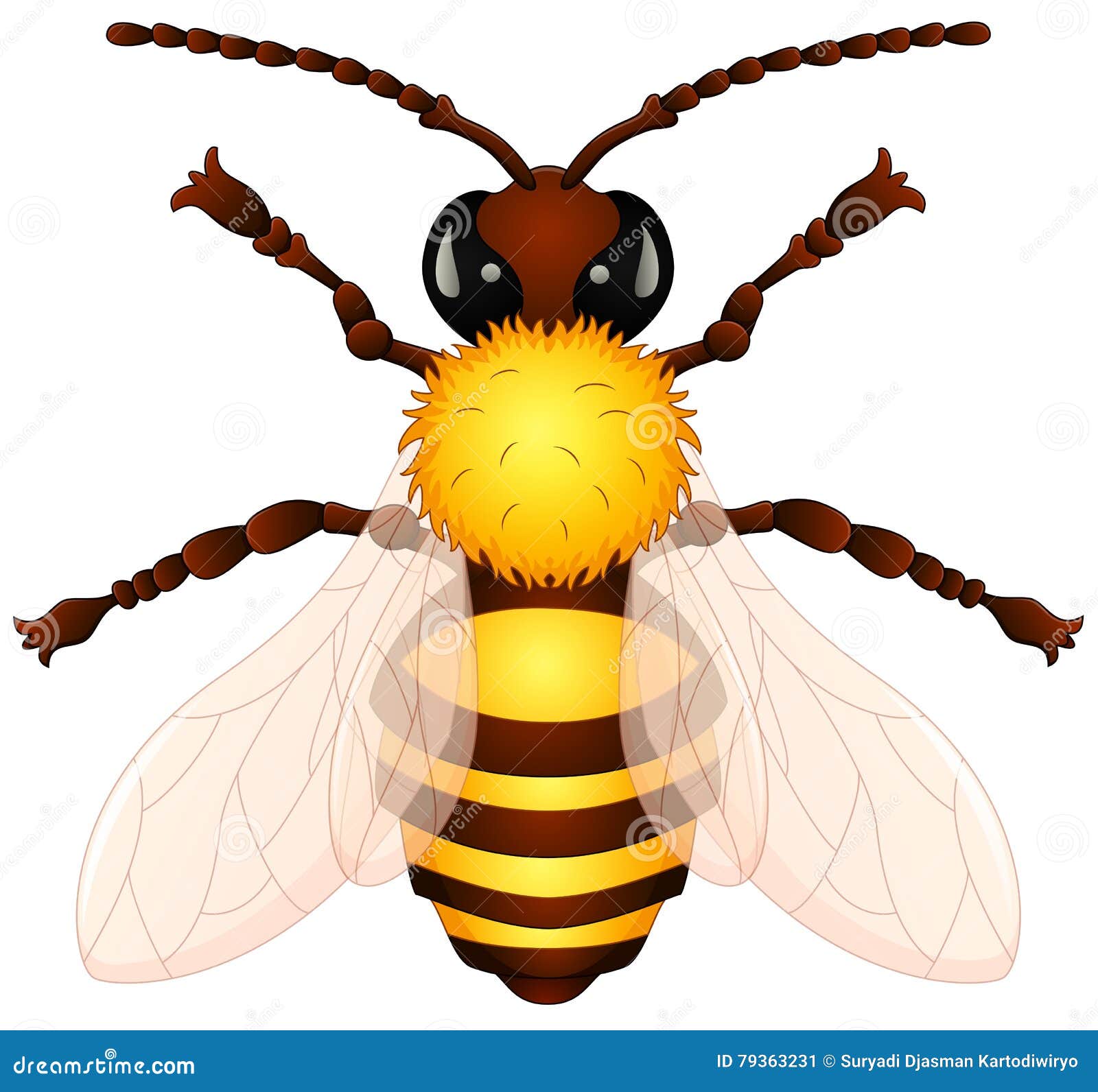 Wasp Isolated Image On A White Background, Insect, Stings, Wasp Sting ...