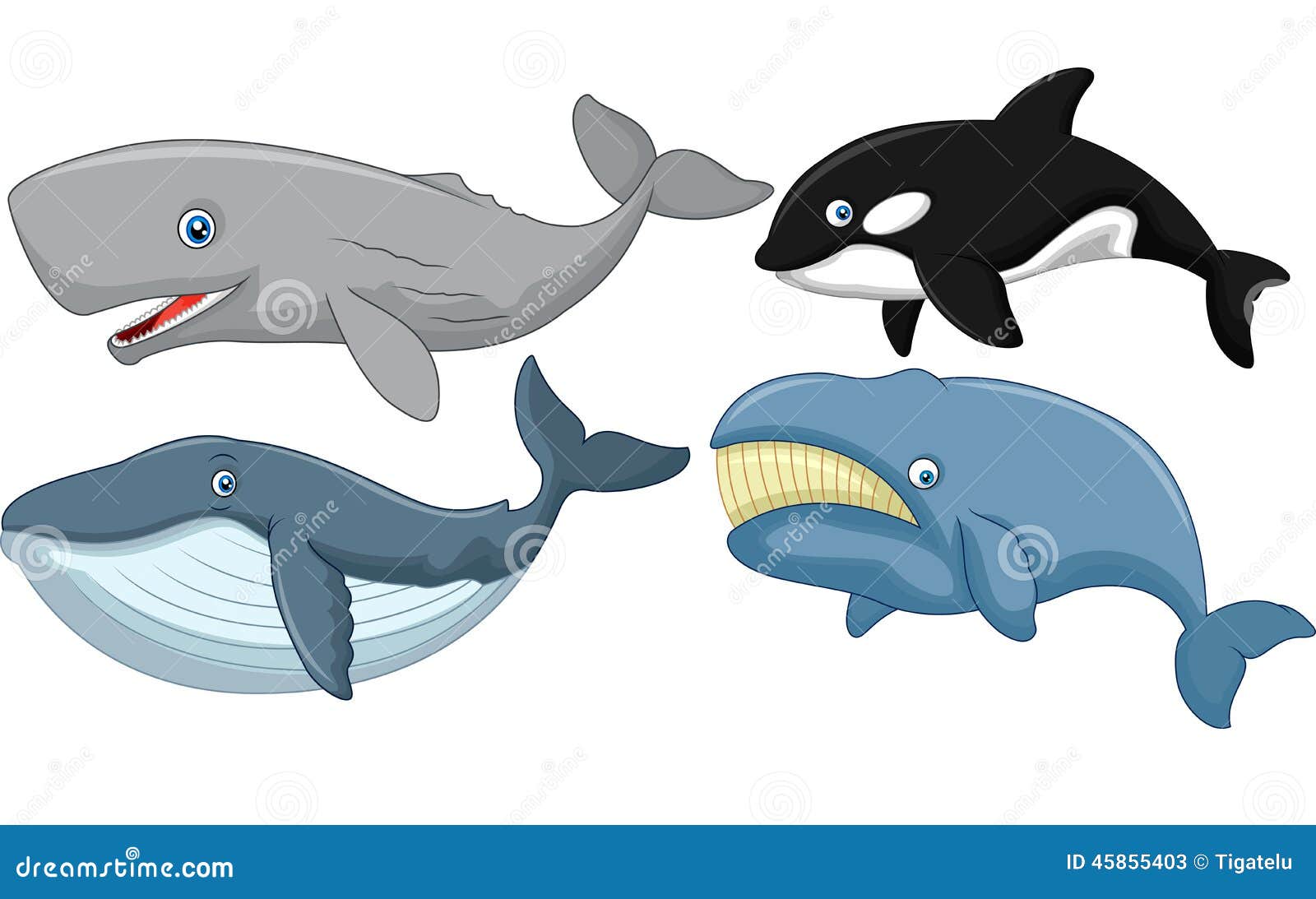 Cartoon whale collection stock vector. Illustration of large - 45855403