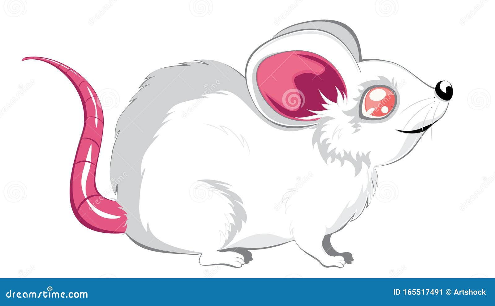 Cartoon white rat stock vector. Illustration of graphic - 165517491
