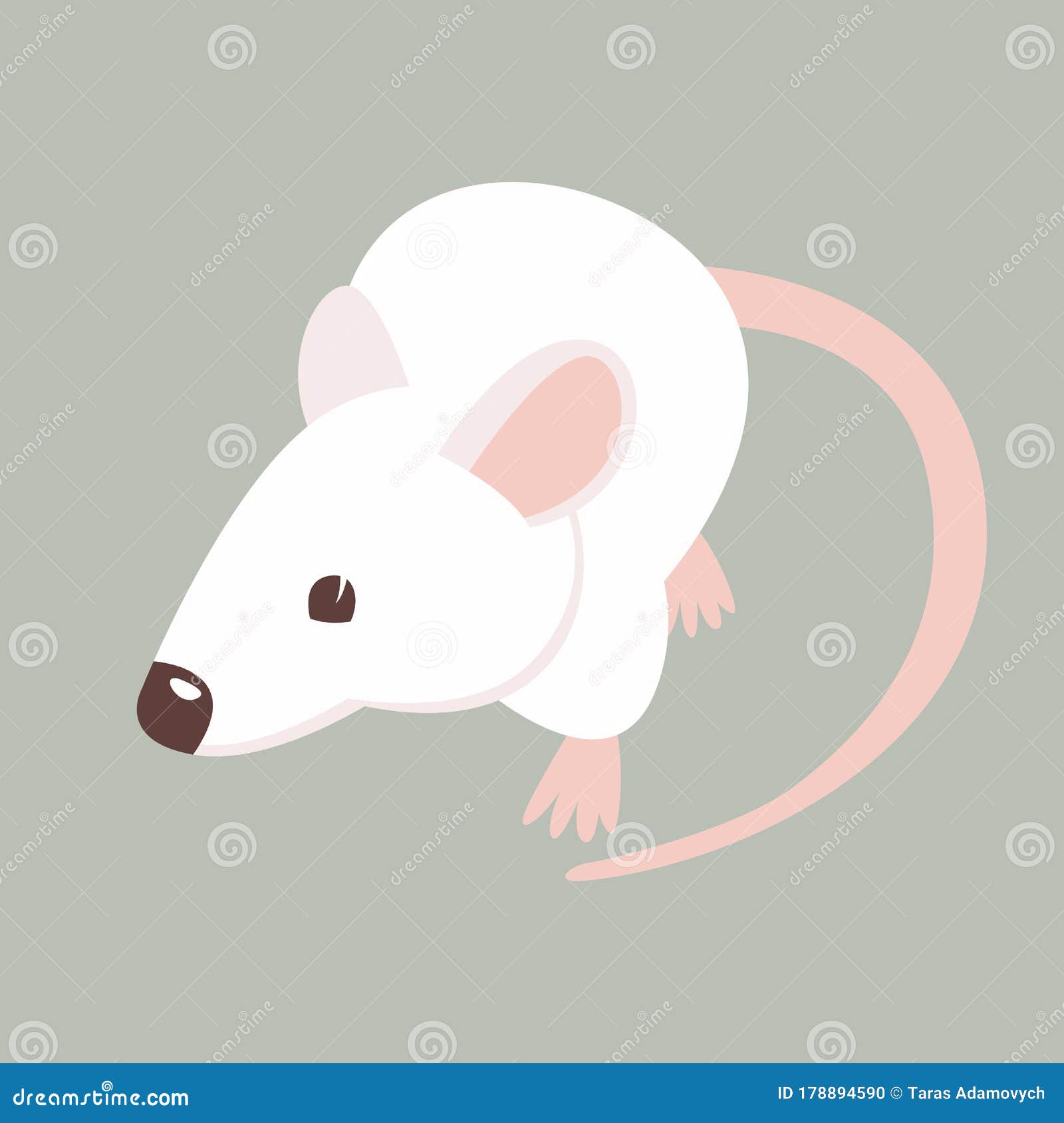 Cartoon White Rat Mouse, Vector Illustration Stock Vector ...