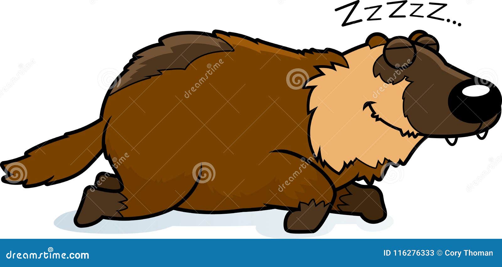 Cartoon Wolverine Sleeping stock vector. Illustration of animal - 116276333