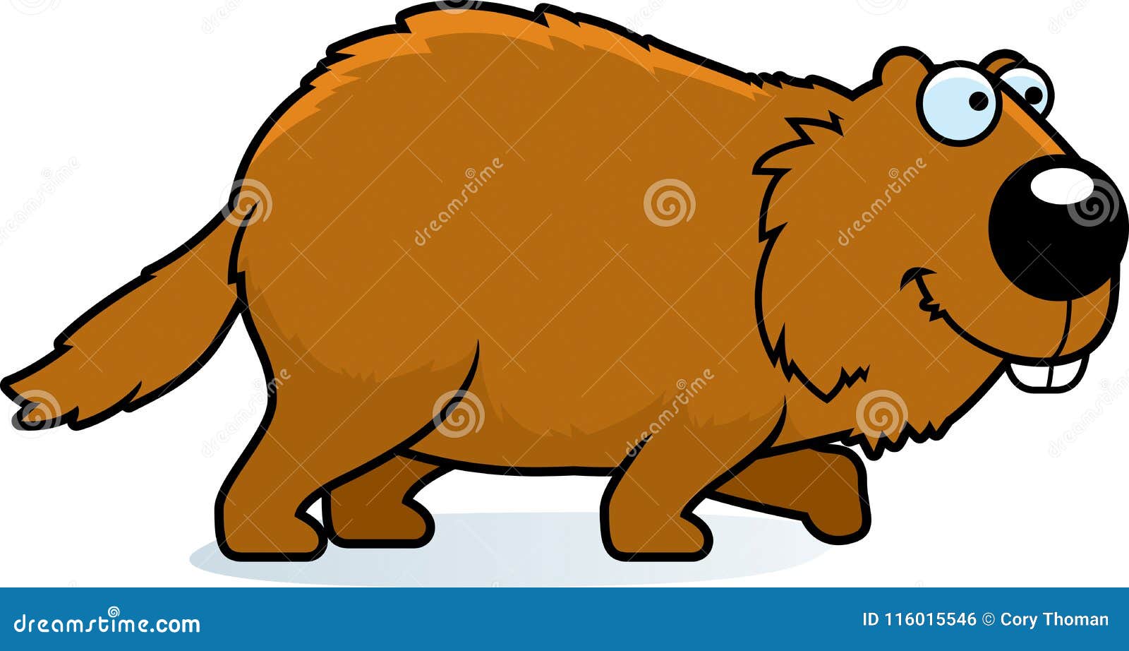 Cartoon Woodchuck Walking stock vector. Illustration of clip - 116015546