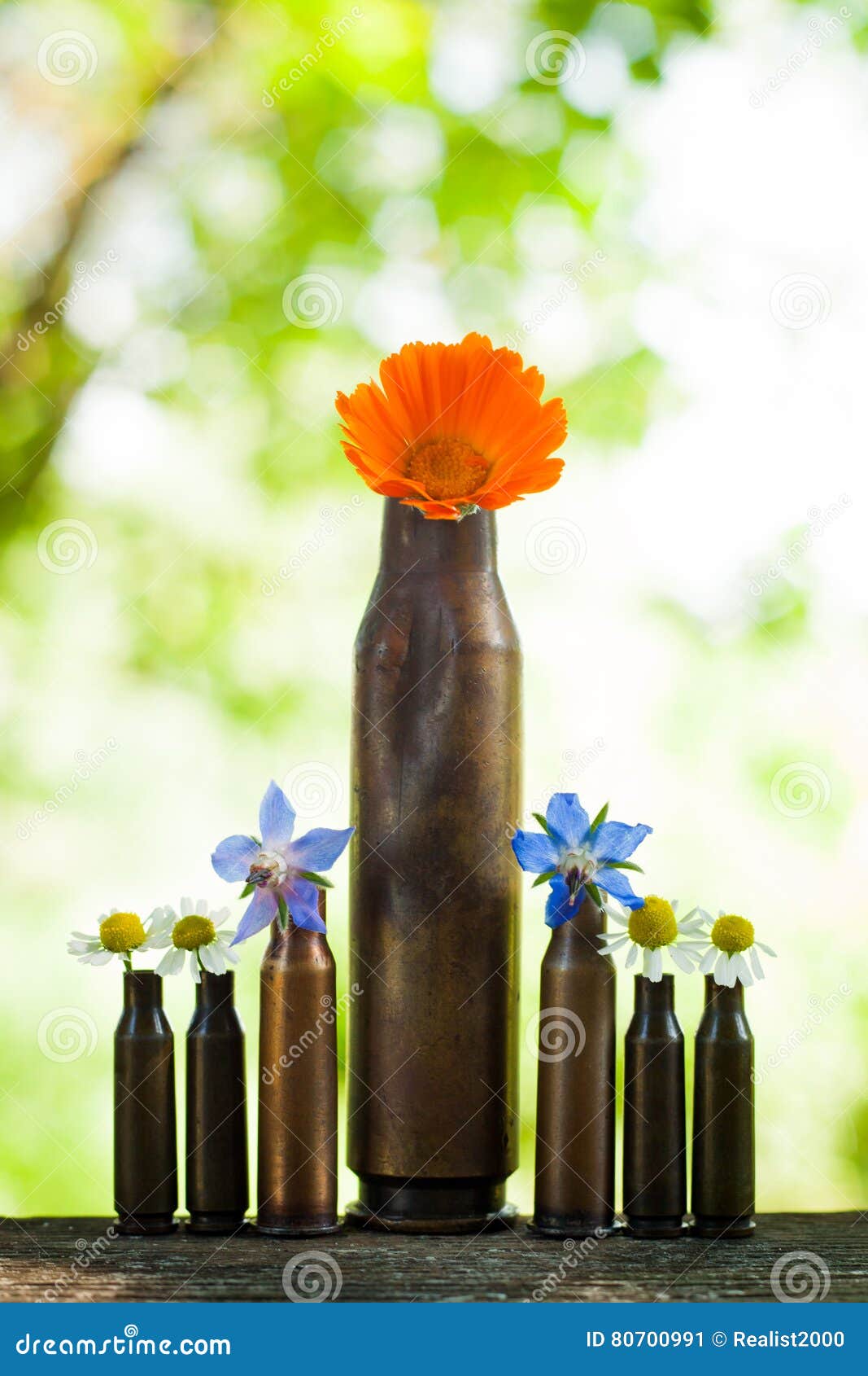 Cartridge-cases with Flowers Stock Image - Image of flowers, ammunition ...