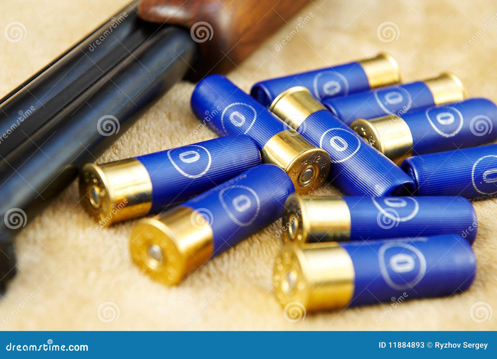 Cartridges for a Gun of the Hunter Stock Image - Image of extraction ...