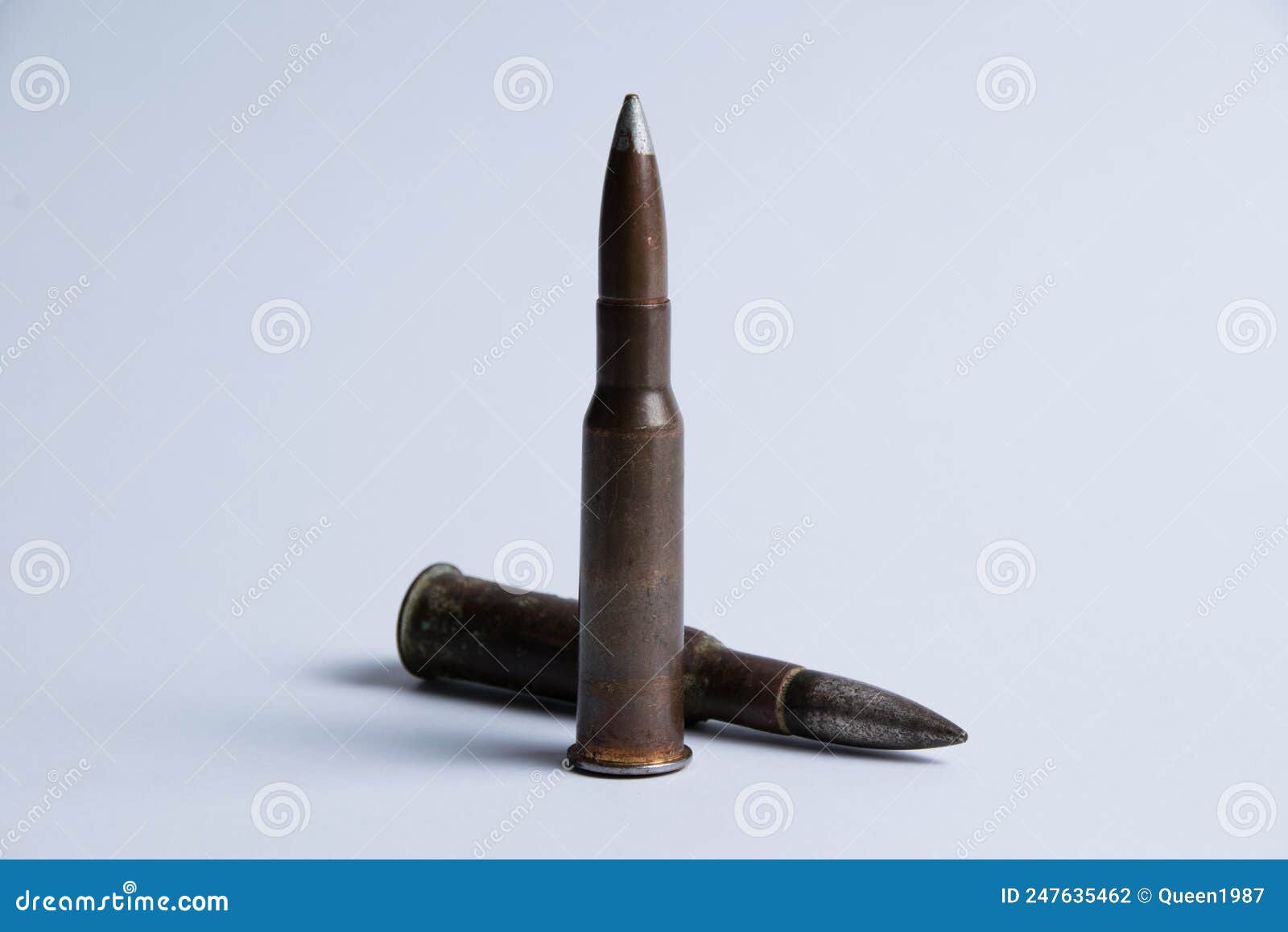 Cartridges with Shell Casings Close Up on a White Background with Space ...