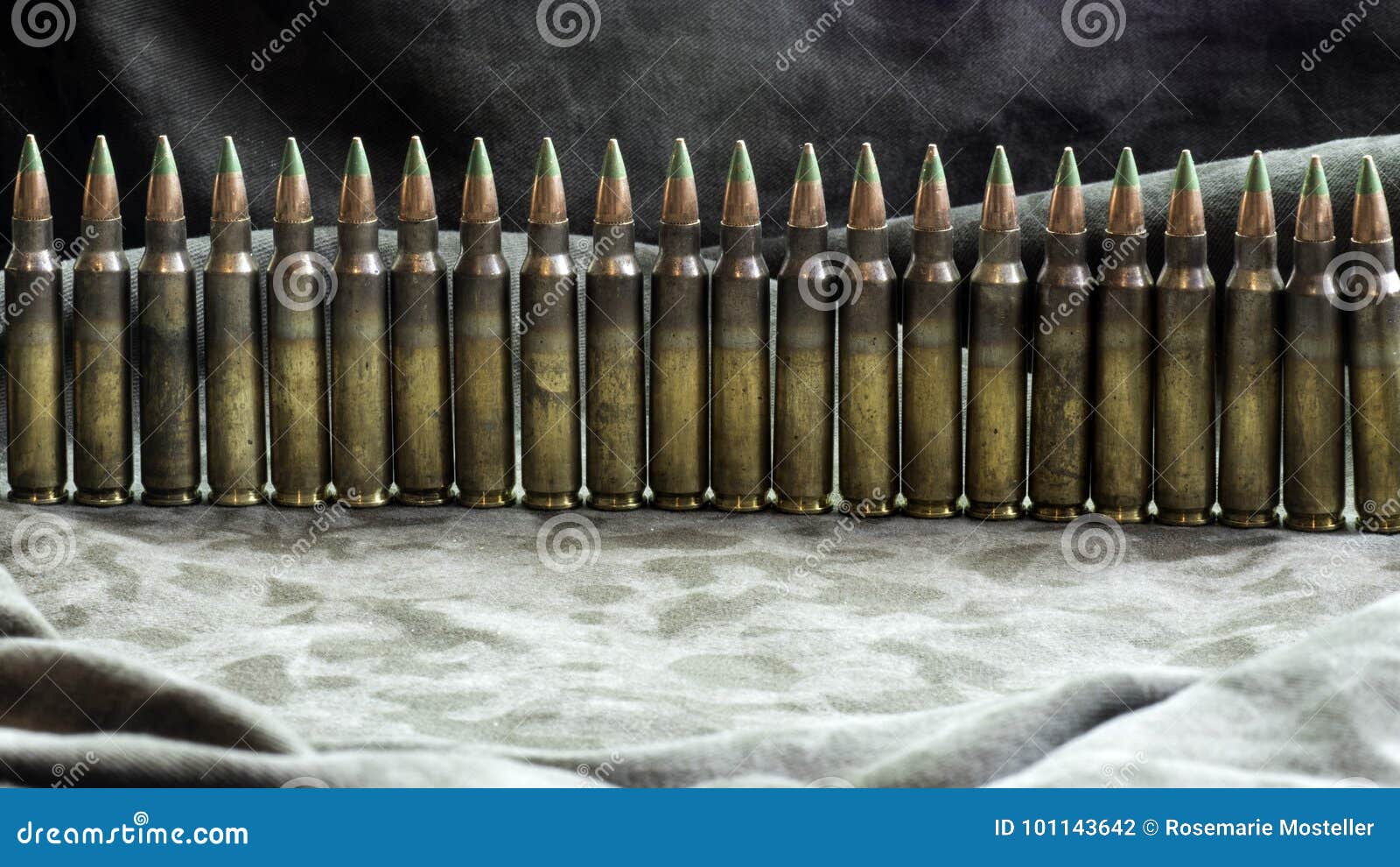 Cartucho Del Rifle De 223 Calibres Foto de archivo - Imagen de concepto ...