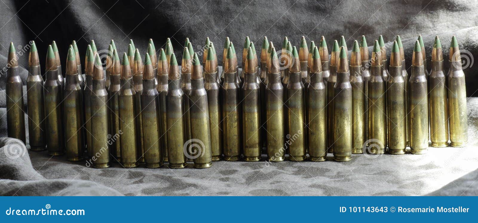 Cartucho Del Rifle De 223 Calibres Imagen de archivo - Imagen de ...