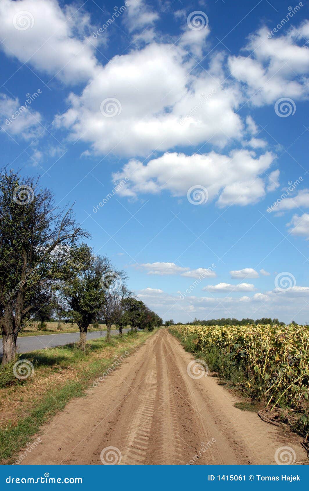 Cartway stock image. Image of cart, trees, colourful, tree - 1415061
