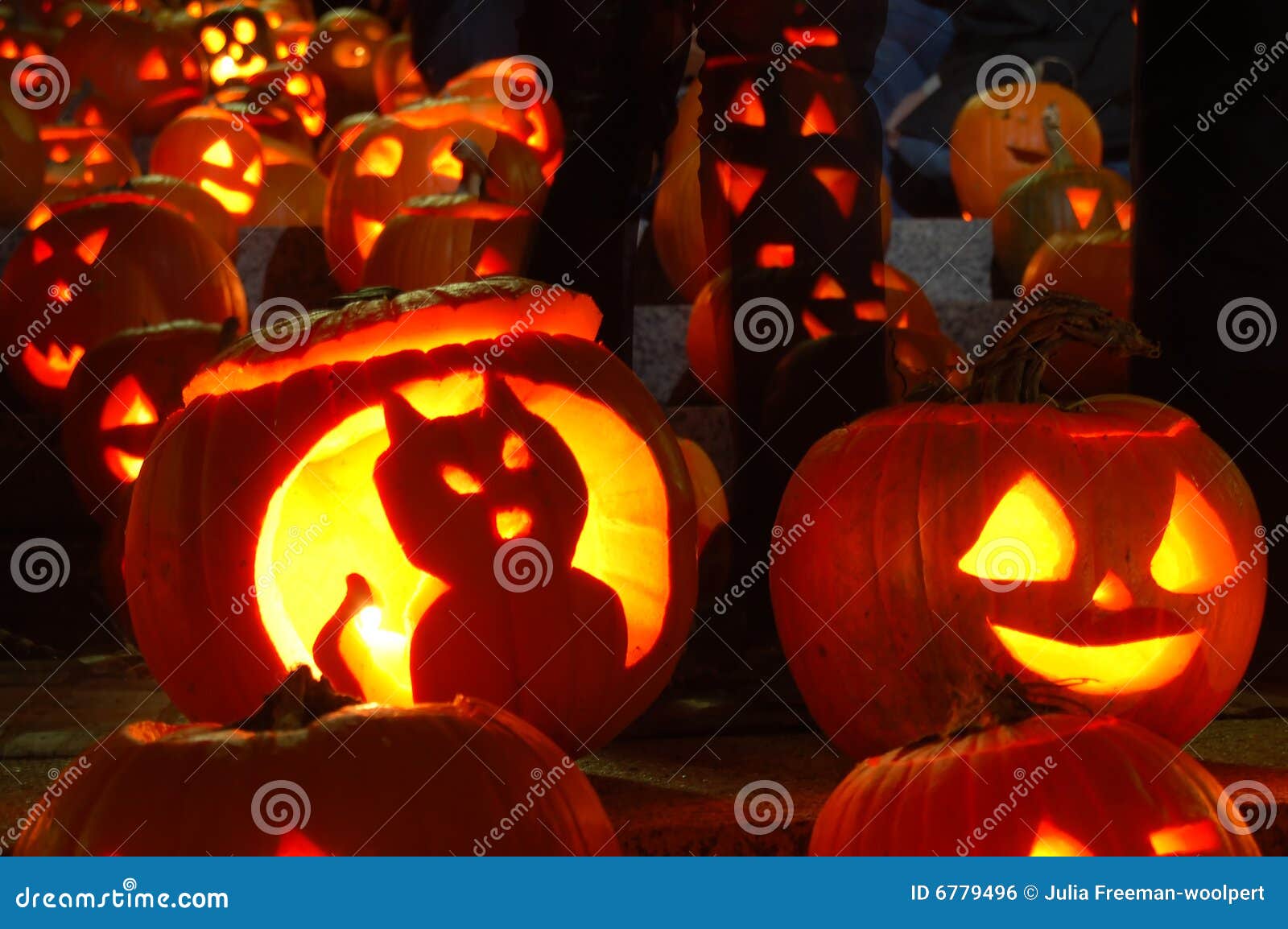 Carved Lighted Pumpkins Picture. Image: 6779496
