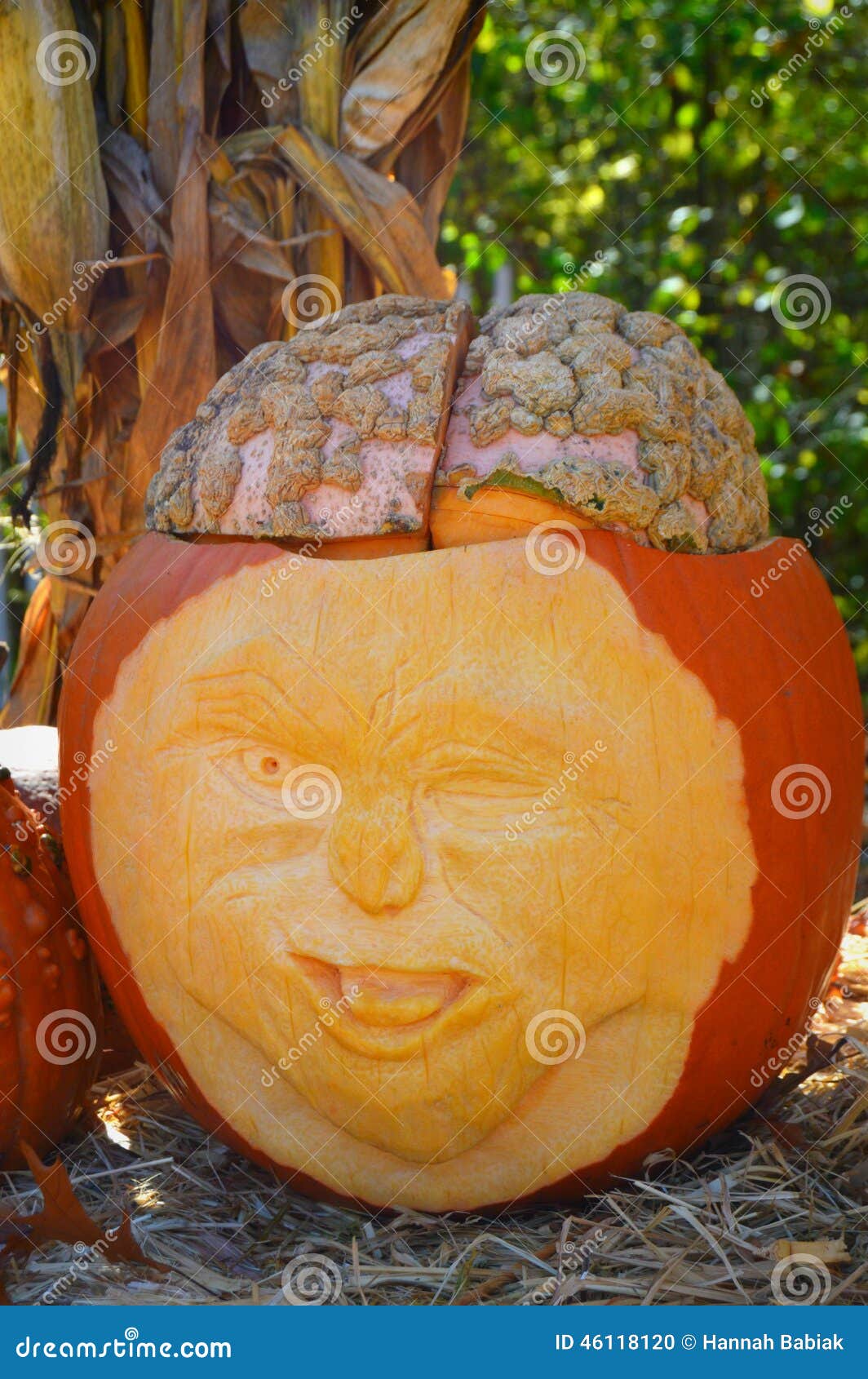 Carved Pumpkin Face with a Brain Stock Photo - Image of stem, jack ...