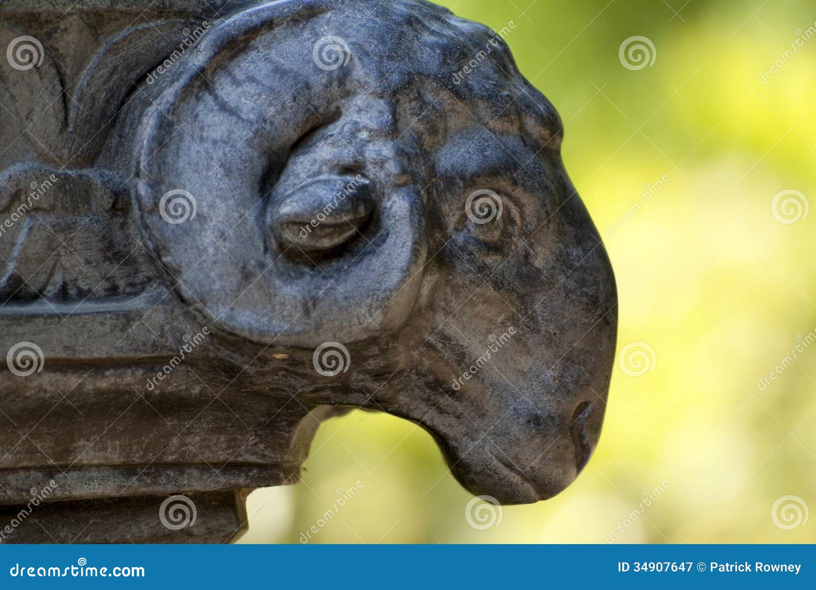 Carved rams head stock image. Image of site, statue, design - 34907647