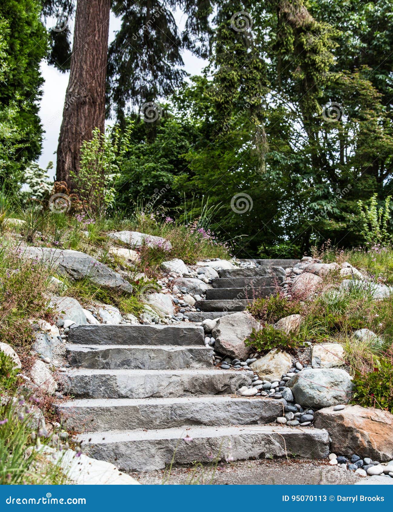 Carved Stone Steps into Forest Stock Image - Image of forest, nature ...