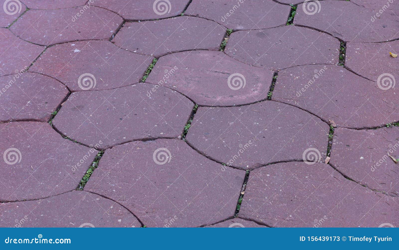 Stone Tiled Paving Texture. Background. Stock Image - Image of material ...