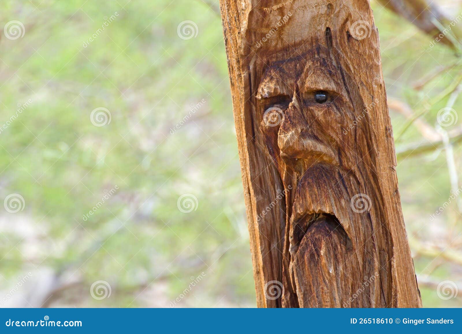 Carved Wooden Log Man Face stock photo. Image of face - 26518610