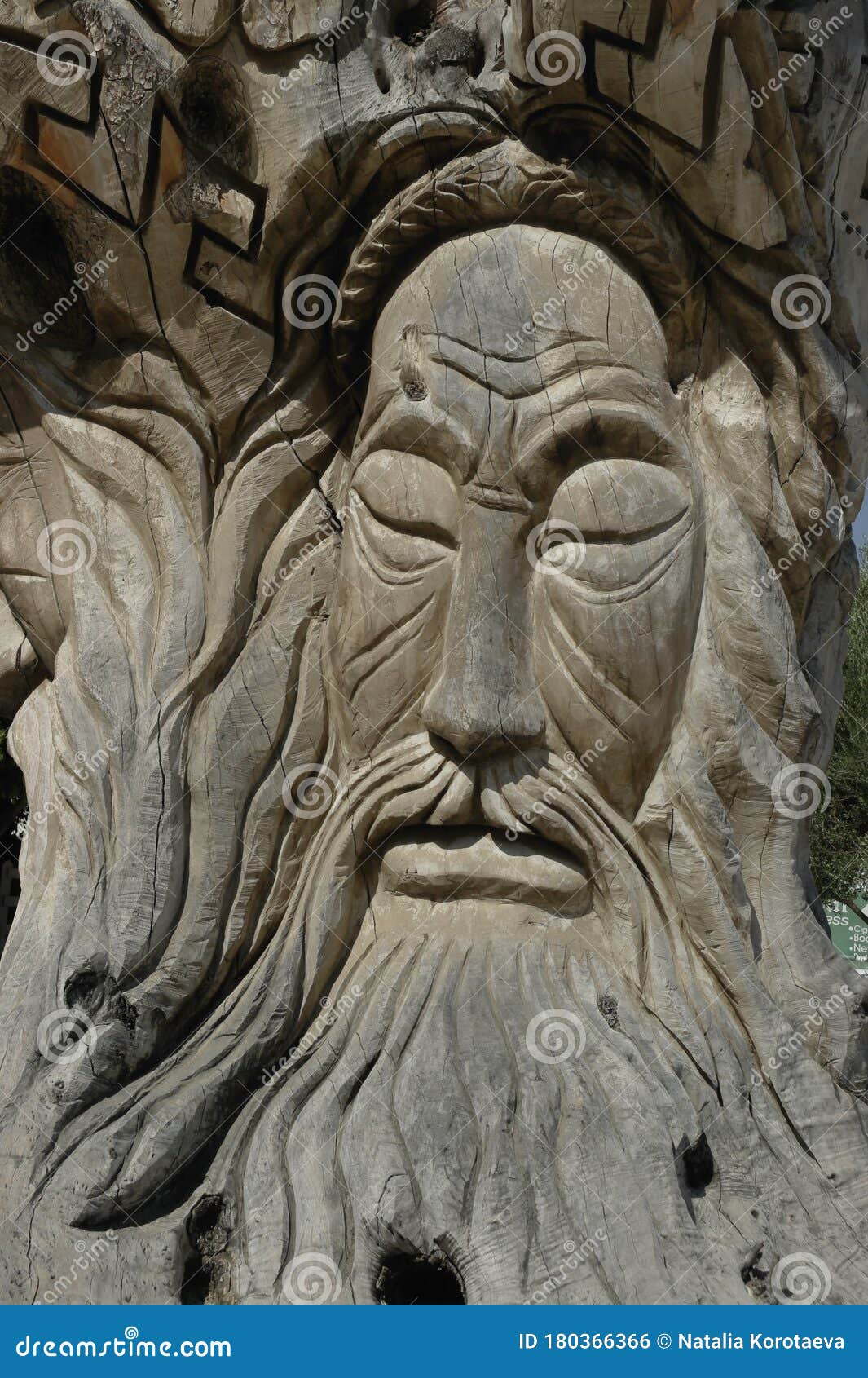 Carving on an Old Olive Tree in the Park of the Resort of Matala ...